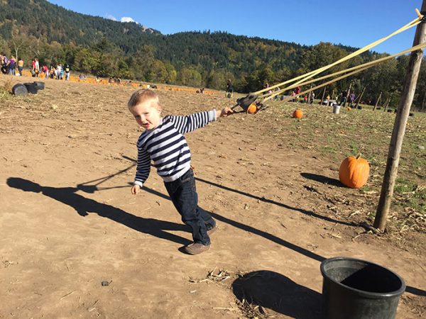 Johnson Vegetable Farms | Pumpkin Patch in Eugene, Oregon