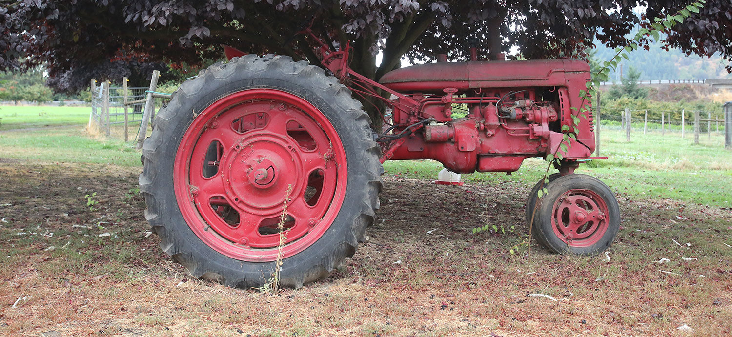 Johnson Vegetable Farms | Pumpkin Patch in Eugene, Oregon